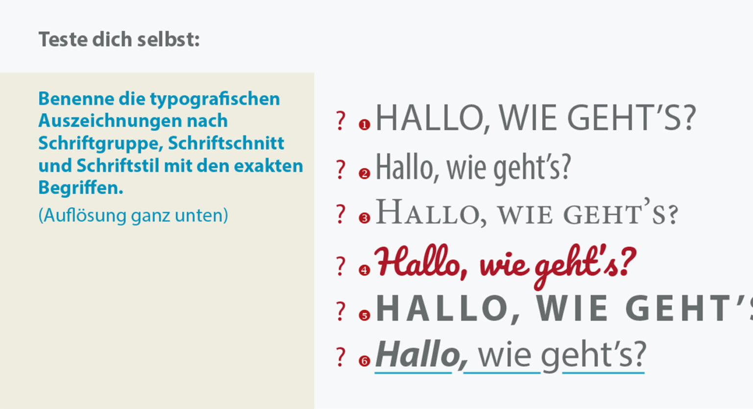 Typografie: Schriftgruppe, Schriftart, Schriftfamilie mit Schriftschnitten, Schriftsippe ...